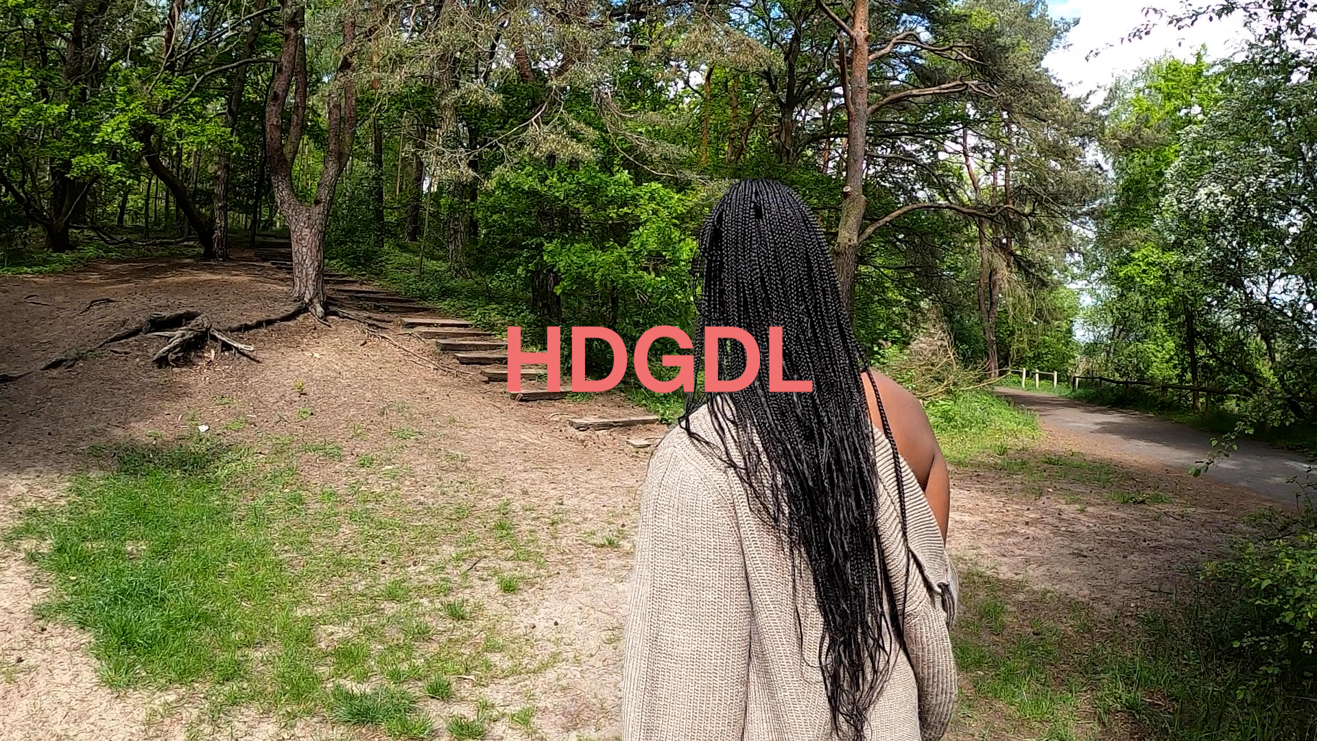 Roxy Lichtspielhaus in Dortmund » Monatsprogramm